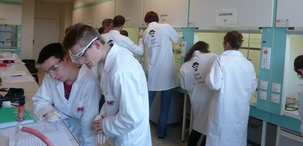 Academic programme and majors | Escom Chimie